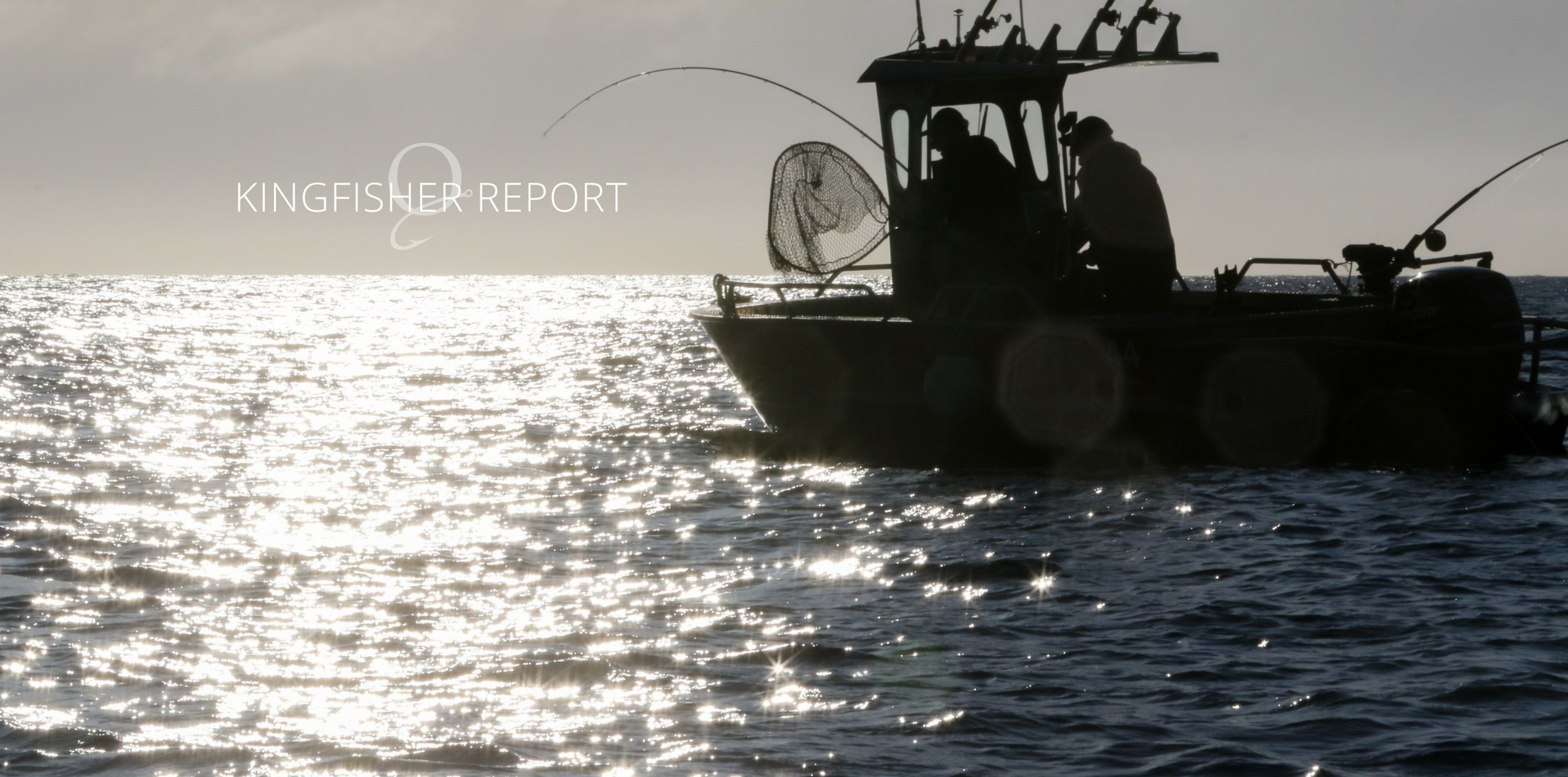 Kingfisher Report | June 22, 2023 - QCL Haida Gwaii