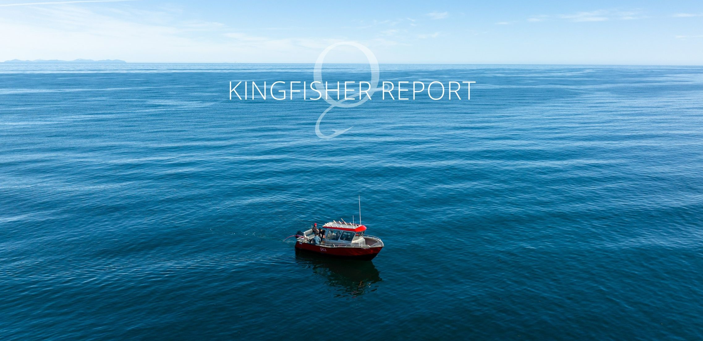 Kingfisher Report | June 28, 2023 - QCL Haida Gwaii