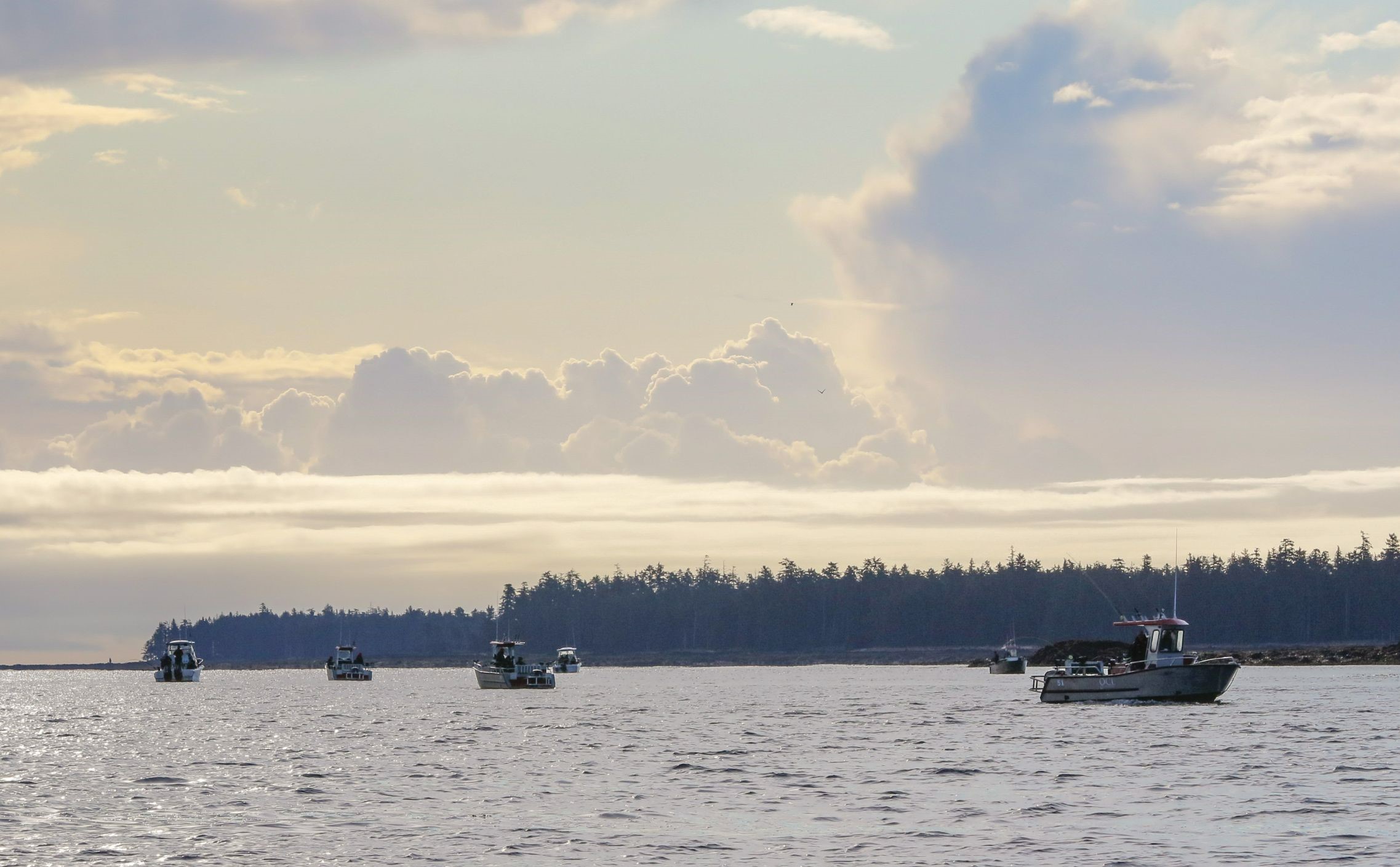 Kingfisher Report | July 2, 2023 - QCL Haida Gwaii