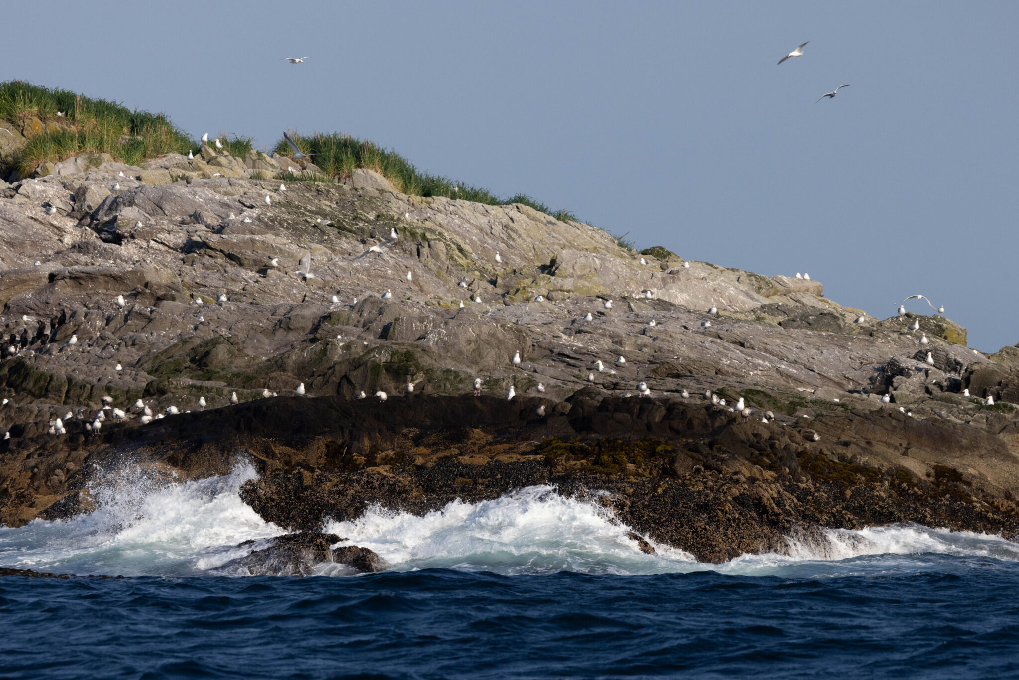 Hiking & Beachcombing | Activities At Queen Charlotte Lodge