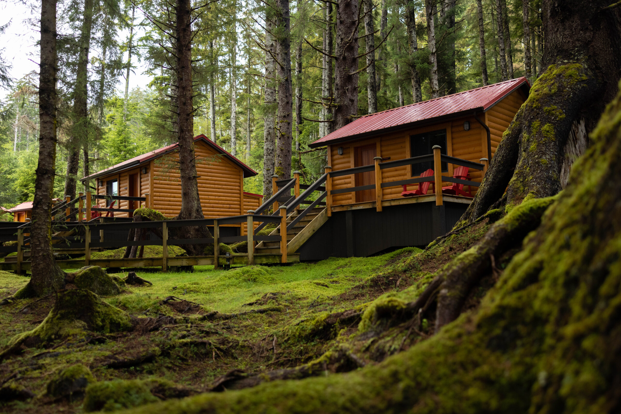 The Northern Rooms | Accommodation At Queen Charlotte Lodge