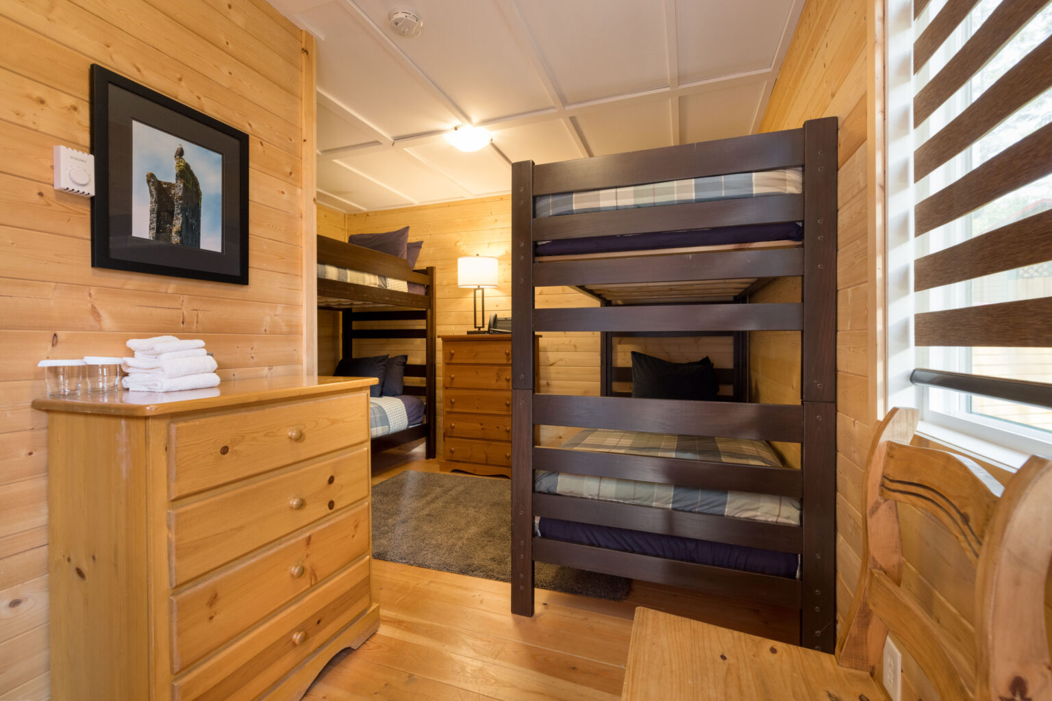 Southern Rooms | Accommodation At Queen Charlotte Lodge